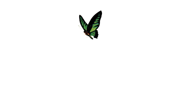 Nilai Springs Resort Personal Data Protection – Nilai Springs Resort ...